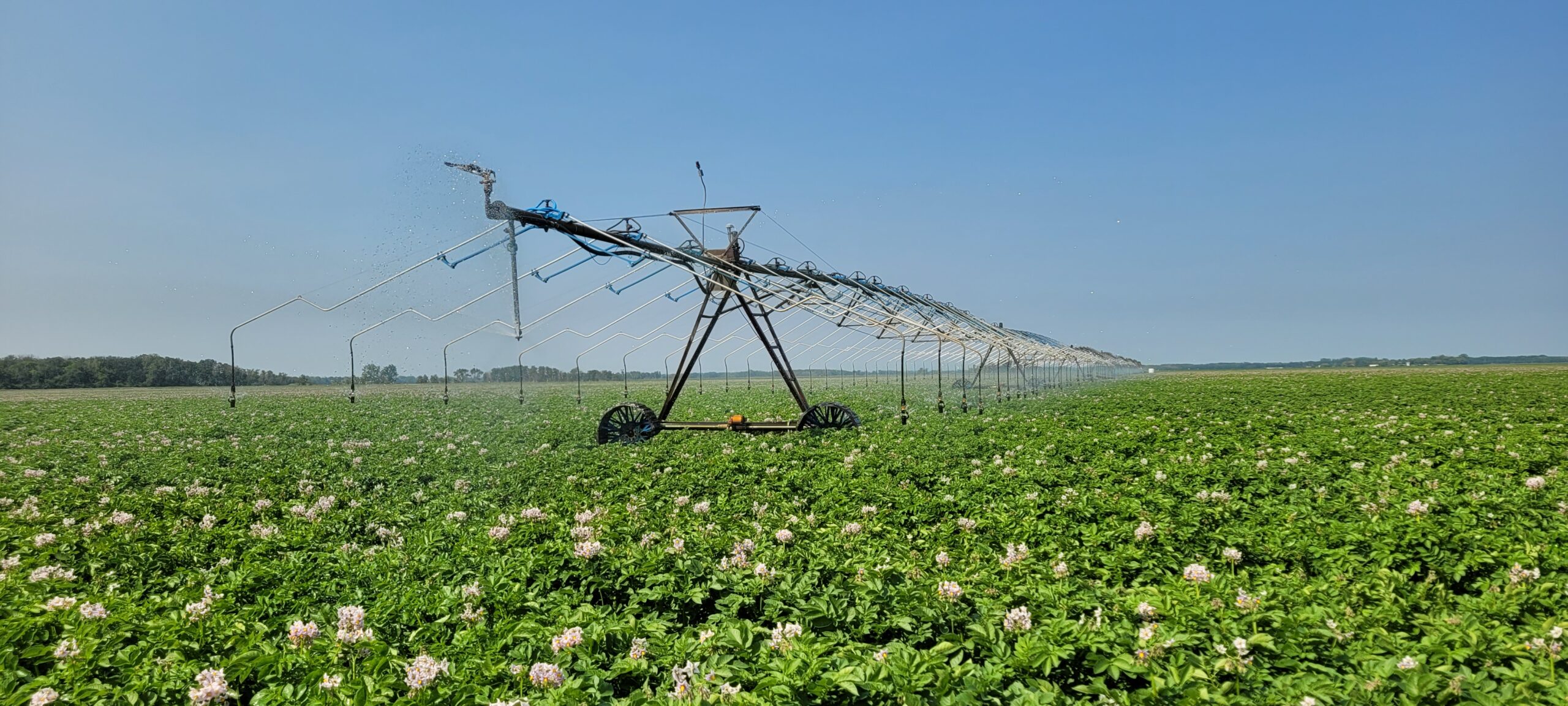 Efficient Watering Solutions for Higher Yields - RAIN Irrigation | Grow ...