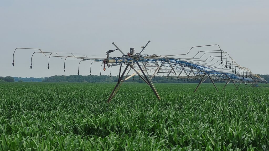 Efficient Watering Solutions for Higher Yields - RAIN Irrigation | Grow ...